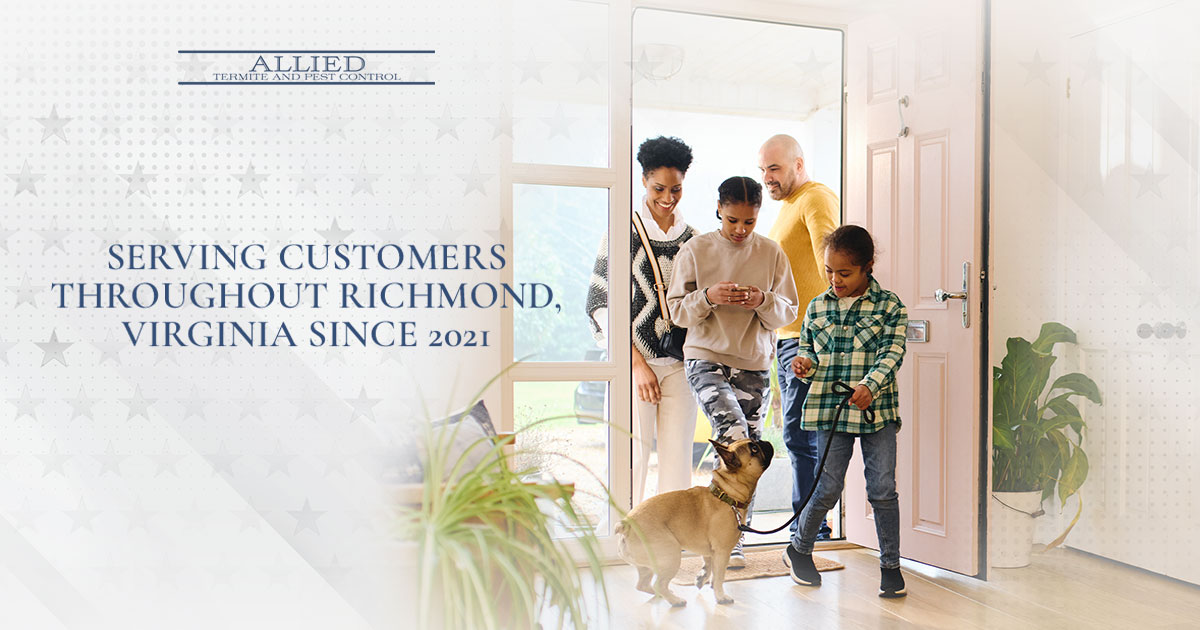 Expert Pest Control Richmond, VA | Allied Termite and Pest Control Of ...